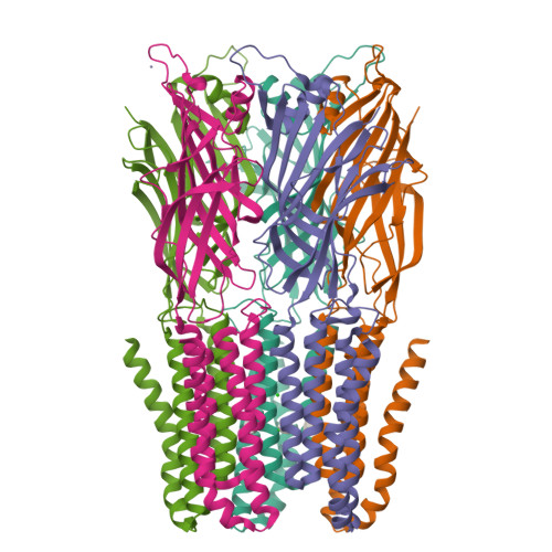RCSB PDB - 6FVS: The active form of a pentameric ion channel (sTeLIC ...