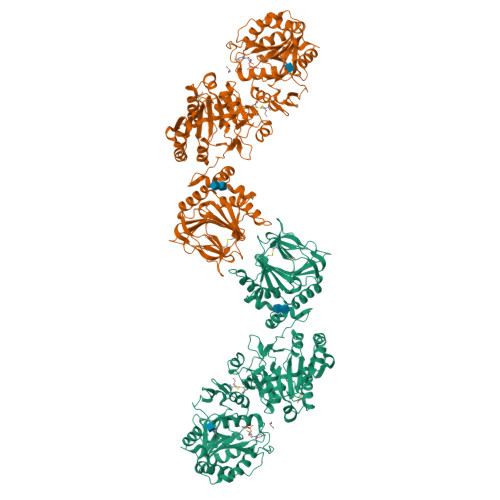RCSB PDB - 6FXT: Crystal Structure of full-length Human Lysyl ...