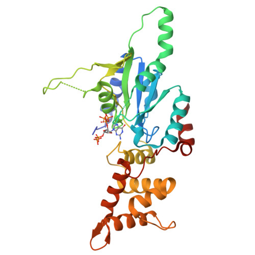 RCSB PDB - 6G15: Crystal structure of pppGpp bound RbgA from S. aureus