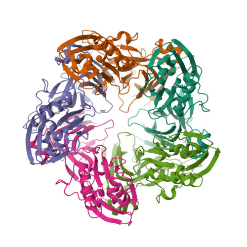 RCSB PDB - 6G42: Crystal structure of mavirus penton protein