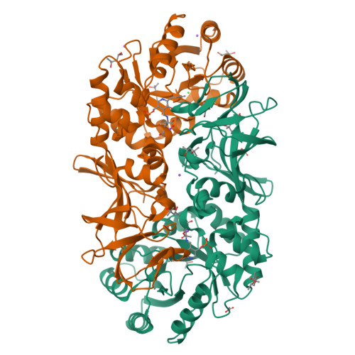 RCSB PDB - 6G58: Structure of the alanine racemase from Staphylococcus ...