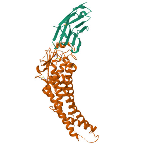 RCSB PDB - 6GBH: Helicobacter pylori adhesin HopQ type II bound to the ...
