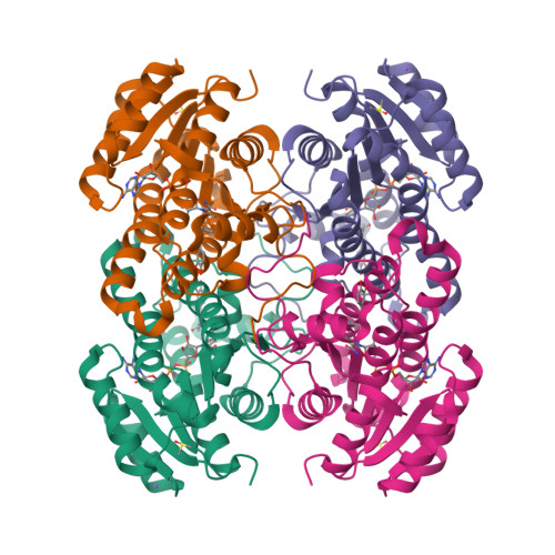 RCSB PDB - 6GBT: 17beta-hydroxysteroid dehydrogenase type 14 Mutant ...