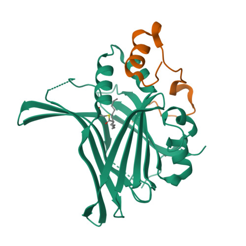 RCSB PDB - 6GEE: TEAD4 (216-434);E263A COMPLEXED WITH YAP PEPTIDE (60 ...