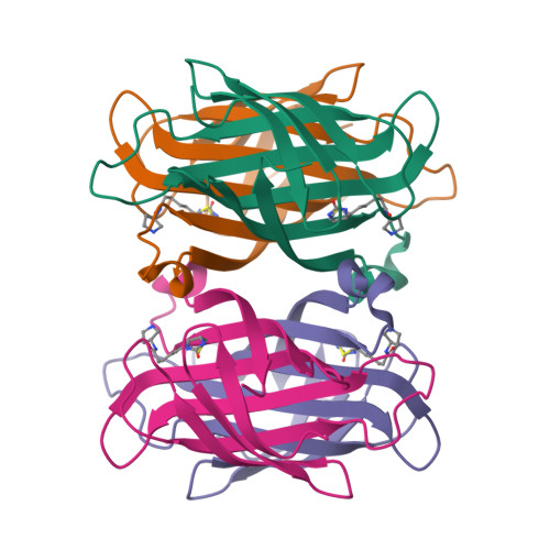 RCSB PDB - 6GH7: WILDTYPE CORE-STREPTAVIDIN WITH a conjugated ...