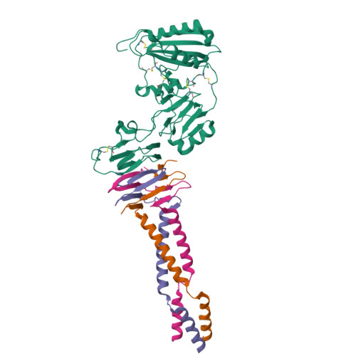 RCSB PDB - 6GJE: Structure of the Amnionless(20-357)-Cubilin(36-135 ...