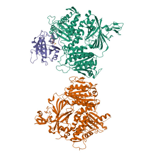 RCSB PDB - 6GNI: Cryo-tomography and subtomogram averaging of Sar1 ...