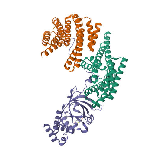 RCSB PDB - 6GNJ: Exoenzyme S from Pseudomonas aeruginosa in complex ...