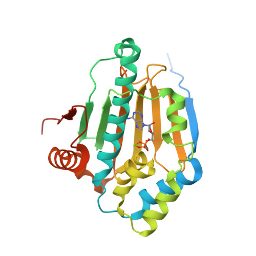RCSB PDB - 6GPT: Structure of human Heat shock protein 90-alpha N ...