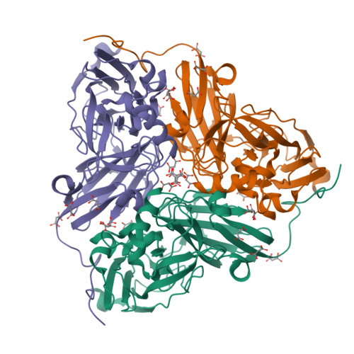 RCSB PDB - 6GT2: Reduced copper nitrite reductase from Achromobacter ...