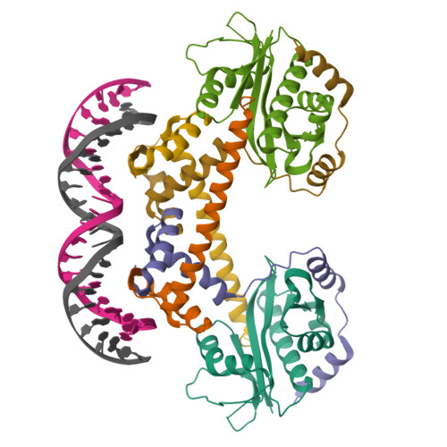 RCSB PDB - 6GTS: Structure of the AtaT-AtaR complex bound DNA