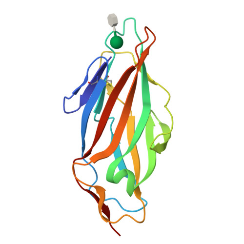 RCSB PDB - 6GTY: Crystal structure of the FimH lectin domain from E ...