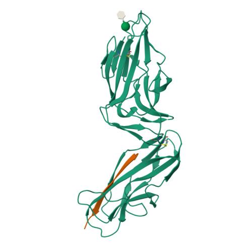 RCSB PDB - 6GTZ: Crystal structure of a FimH*DsG complex from E.coli ...