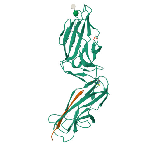 RCSB PDB - 6GU0: Crystal structure of a FimH*DsG complex from E.coli ...