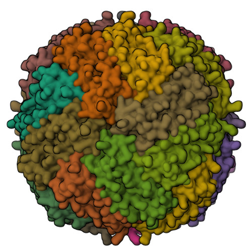 RCSB PDB - 6H6T: Binary crystal structure of positively and negatively ...