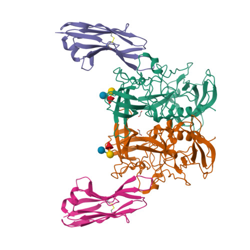 RCSB PDB - 6H72: GI.1 human norovirus protruding domain in complex with ...