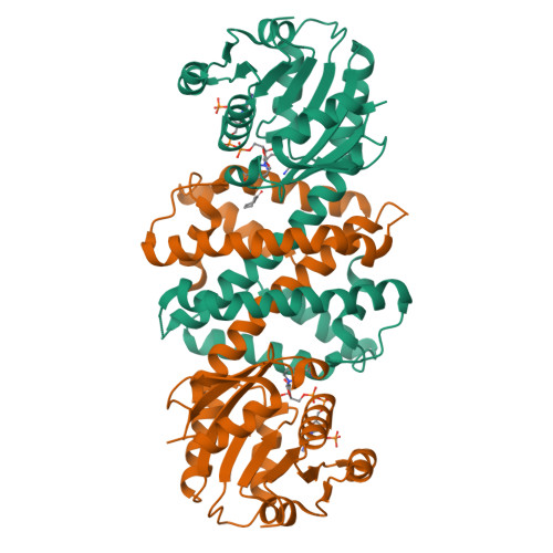 RCSB PDB - 6H7P: Reductive Aminase from Aspergillus terreus in complex ...