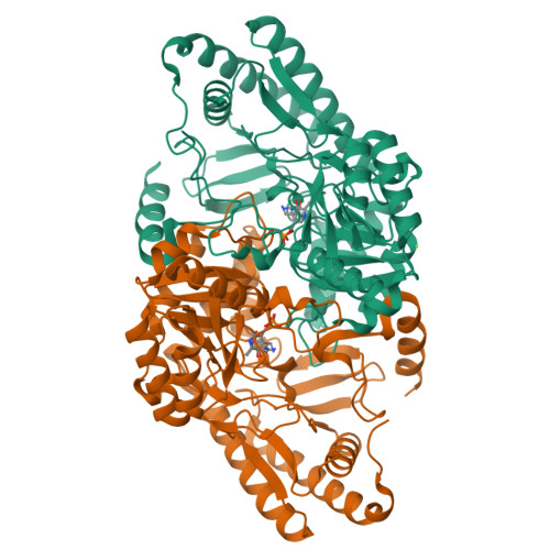 RCSB PDB - 6HBV: Structure of PLP internal aldimine form of ...