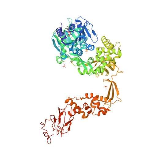 RCSB PDB - 6HEG: Crystal structure of Escherichia coli DEAH/RHA ...