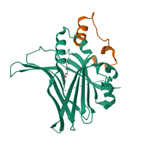 RCSB PDB - 6HIL: X-ray structure of TEAD1(Y421H mutant) complexed with ...