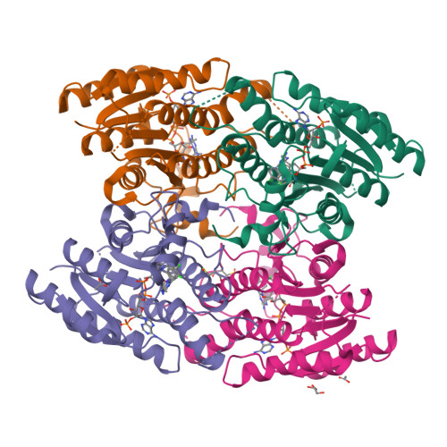 RCSB PDB - 6HNR: Trypanosoma brucei PTR1 in complex with the triazine ...