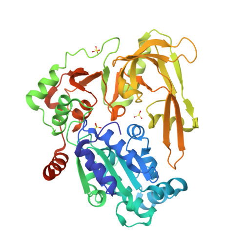 RCSB PDB - 6HPT: Crystal structure of human Pif1 helicase, apoform.