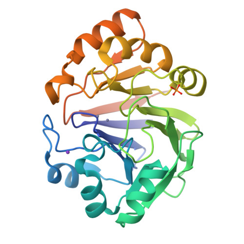 RCSB PDB - 6HRG: Structure of Igni18, a novel metallo hydrolase from ...