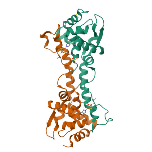 RCSB PDB - 6HSE: Structure of dithionite-reduced RsrR in spacegroup P2(1)