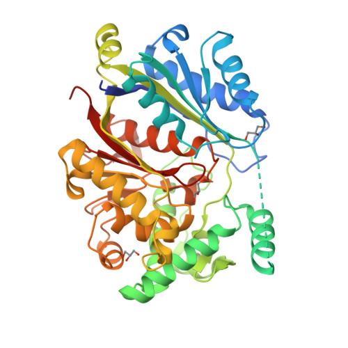 RCSB PDB - 6HSP: Crystal structure of the zebrafish peroxisomal SCP2 ...