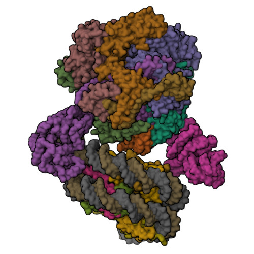 RCSB PDB - 6HTS: Cryo-EM structure of the human INO80 complex bound to ...