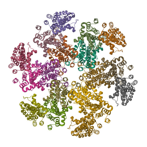 RCSB PDB - 6HWW: Immature MLV capsid hexamer structure in intact virus ...