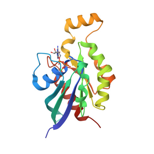 RCSB PDB - 6HXU: Crystal structure of Human RHOB Q63L in complex with GTP