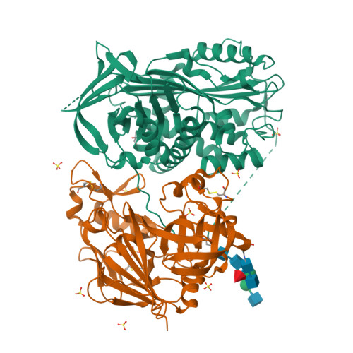 RCSB PDB - 6I3F: Crystal structure of the complex of human ...