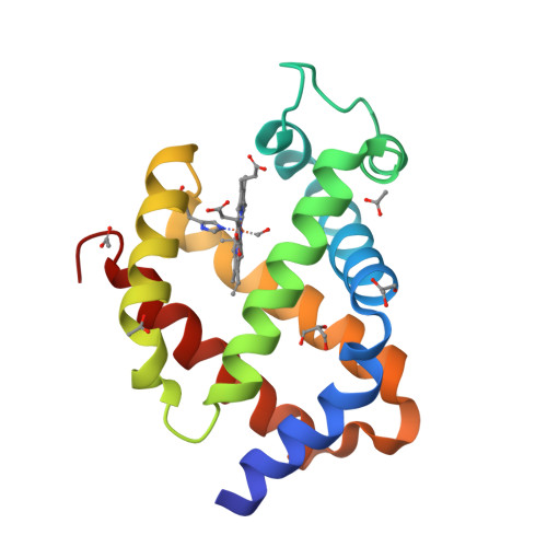 RCSB PDB - 6I3T: Crystal structure of murine neuroglobin bound to CO at ...