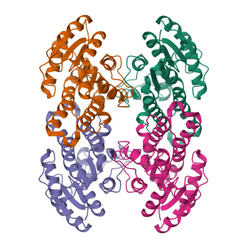 RCSB PDB - 6I9U: Crystal structure of the halohydrin dehalogenase HheG ...