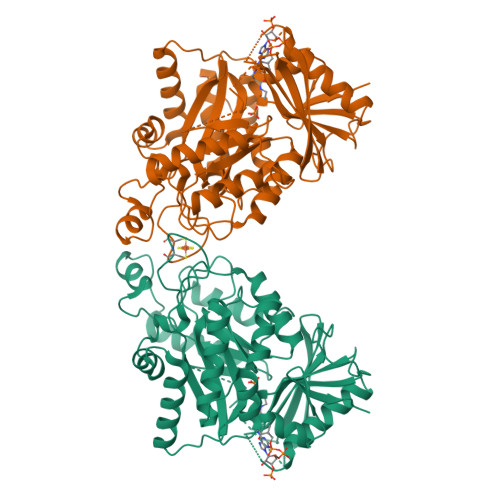 RCSB PDB - 6IA6: Crystal structure of the bacterial Dehalococcoides ...