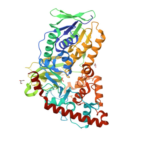 RCSB PDB - 6IB5: Mutant of flavin-dependent tryptophan halogenase Thal ...