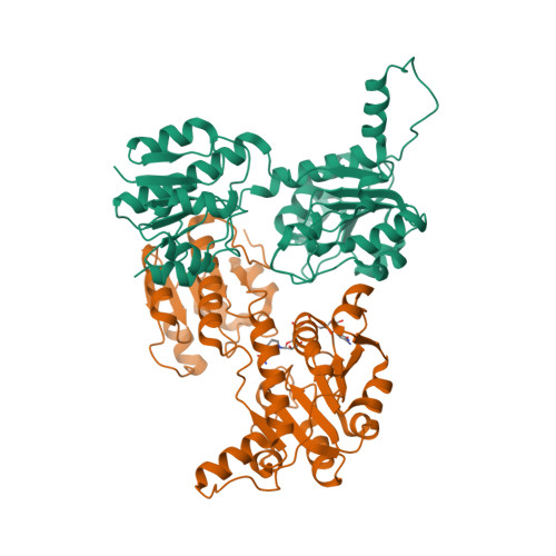 RCSB PDB - 6IH5: Crystal structure of Phosphite Dehydrogenase mutant ...
