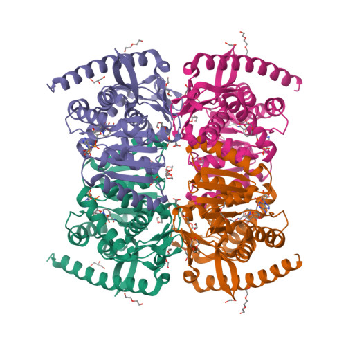 RCSB PDB - 6IHE: Crystal structure of Malate dehydrogenase from ...