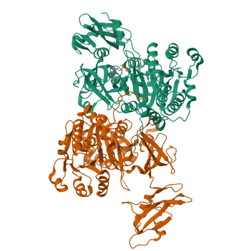 RCSB PDB - 6IHK: Structure of MMPA CoA ligase in complex with ADP