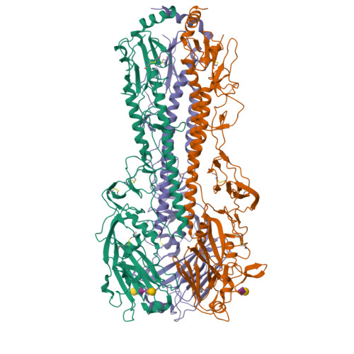 RCSB PDB - 6IIG: crystal structure of H5N2 hemagglutinin G228S mutant ...