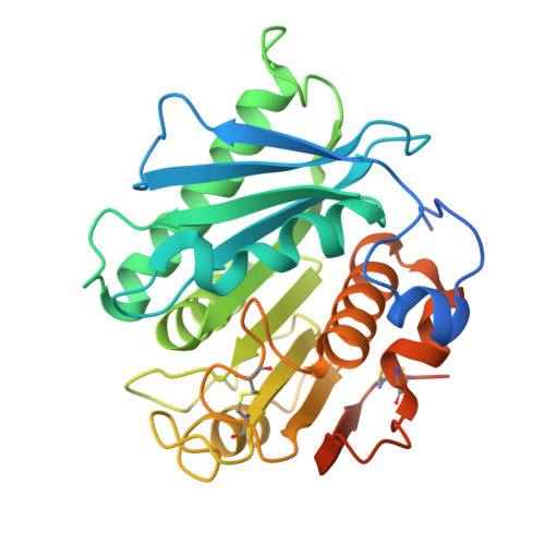 RCSB PDB - 6IJ5: Crystal structure of PETase P181A mutant from ...