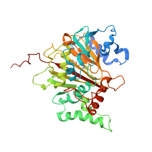 RCSB PDB - 6IMC: Crystal Structure of ALKBH1 in complex with Mn(II) and ...