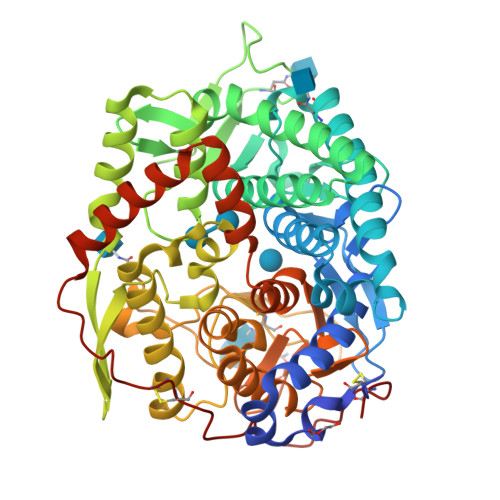 RCSB PDB - 6IMV: The complex structure of endo-beta-1,2-glucanase from ...