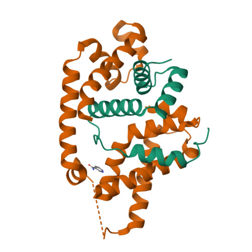 RCSB PDB - 6IN7: Crystal structure of AlgU in complex with MucA(cyto)