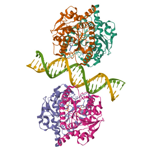 RCSB PDB - 6IUC: Structure of Helicobacter pylori Soj-ATP complex bound ...