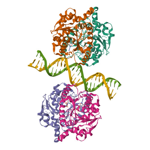 RCSB PDB - 6IUD: Structure of Helicobacter pylori Soj-ADP complex bound ...