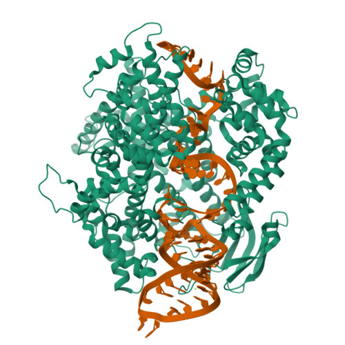 RCSB PDB - 6IV9: the Cas13d binary complex
