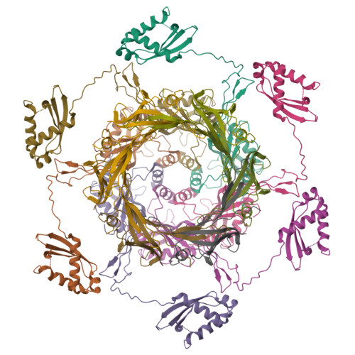 RCSB PDB - 6J0F: Cryo-EM Structure of an Extracellular Contractile ...