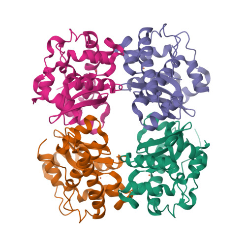 RCSB PDB - 6J55: Crystal structure of an iron superoxide dismutate ...